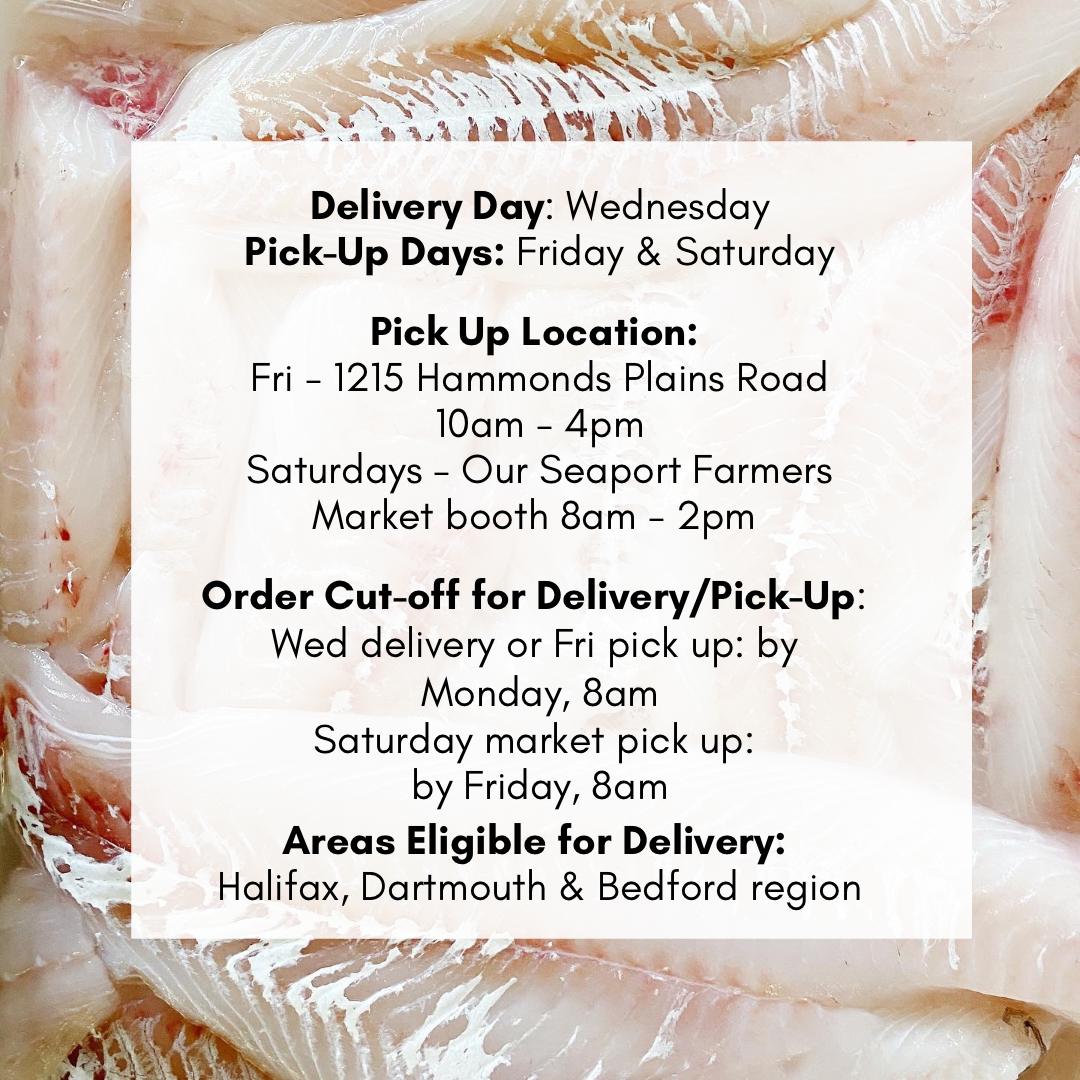 Marlin Steaks – Ocean to Plate Seafood